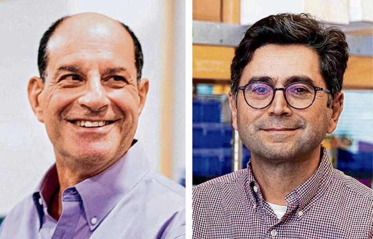 Descubriendo los Nobel